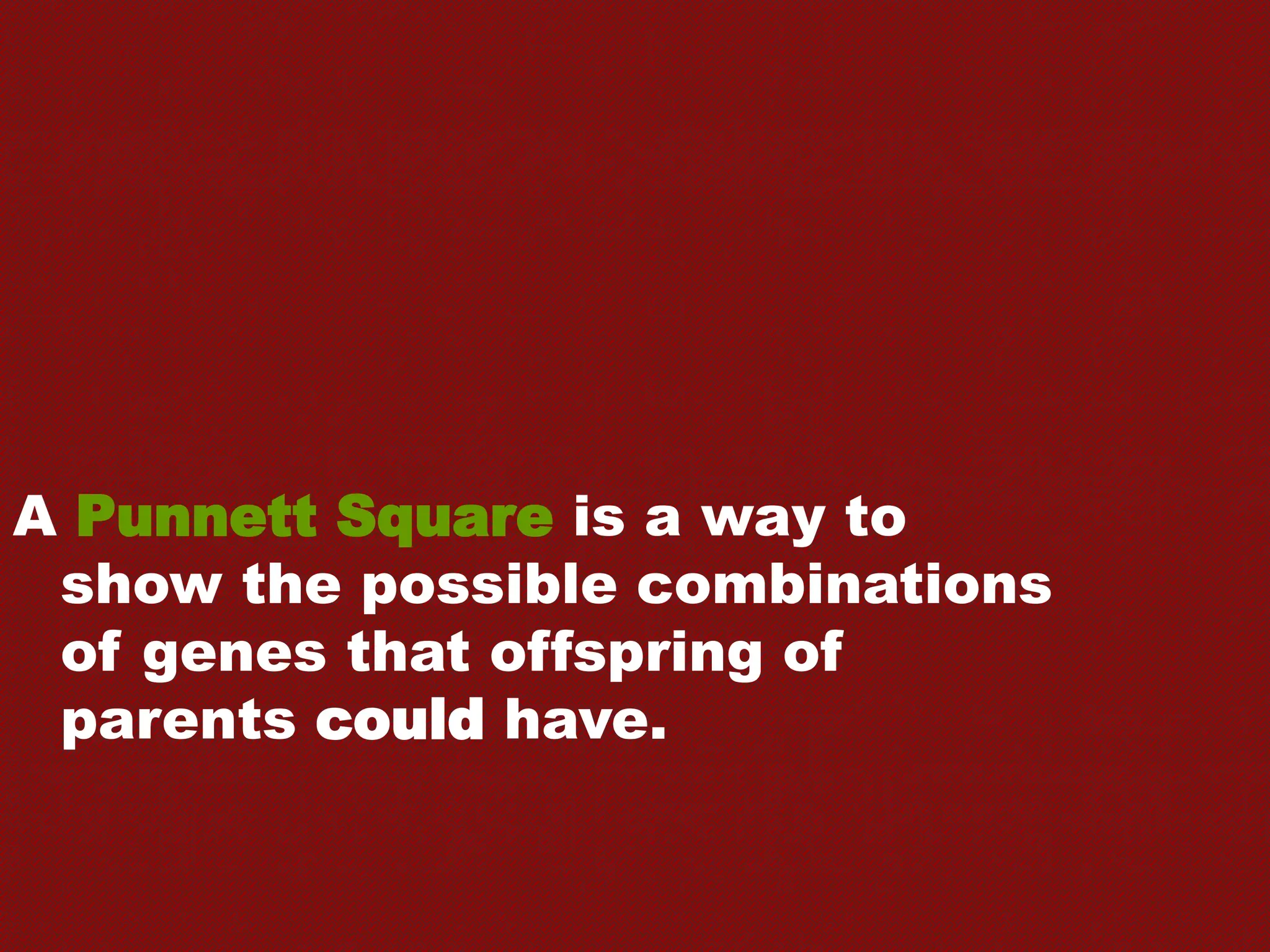 Heredity-and-Genetics-PowerPoint.ppt