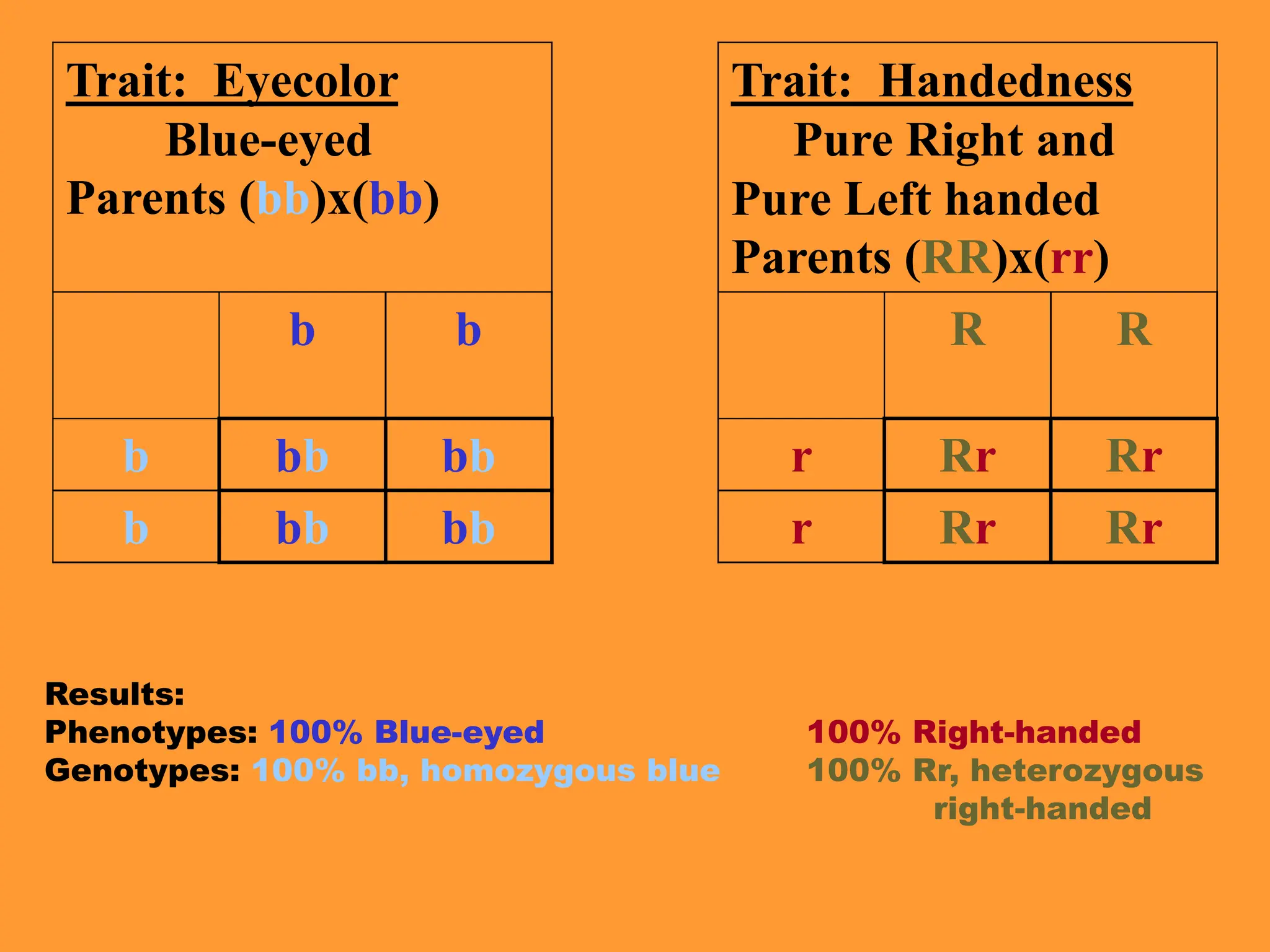 Heredity-and-Genetics-PowerPoint.ppt