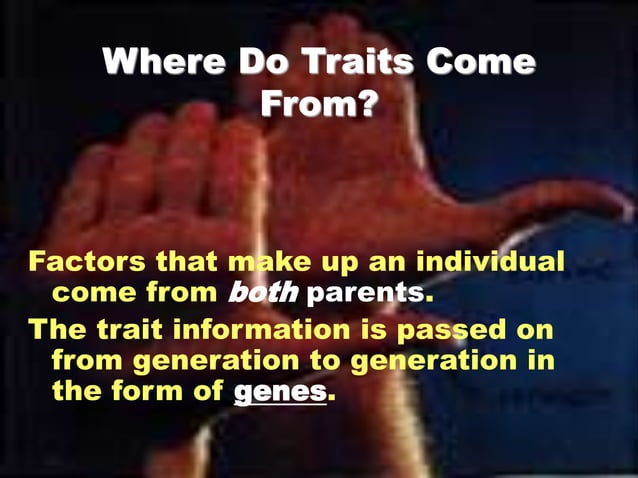 Heredity-and-Genetics-PowerPoint.ppt | Genetics | Science