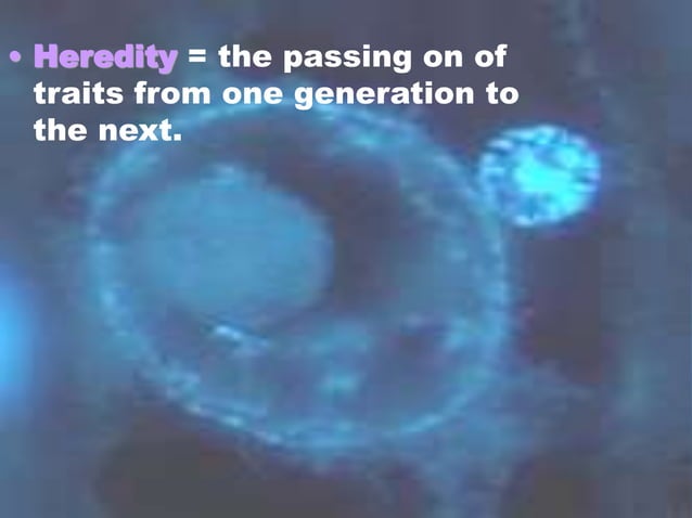 Heredity-and-Genetics-PowerPoint.ppt | Genetics | Science