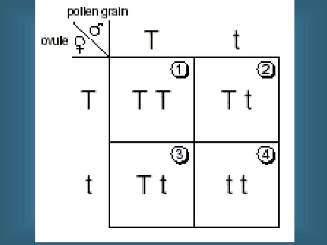 Heredity-and-Genetics-PowerPoint.ppt | Genetics | Science