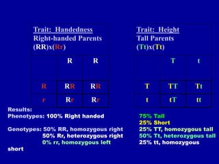 Heredity-and-Genetics-PowerPoint.ppt