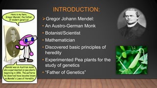 Heredity and DNA | PPTX | Biological Sciences | Science