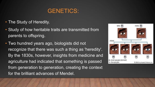 Heredity and DNA | PPT