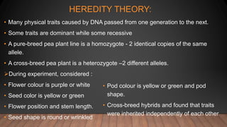 Heredity and DNA | PPTX | Biological Sciences | Science