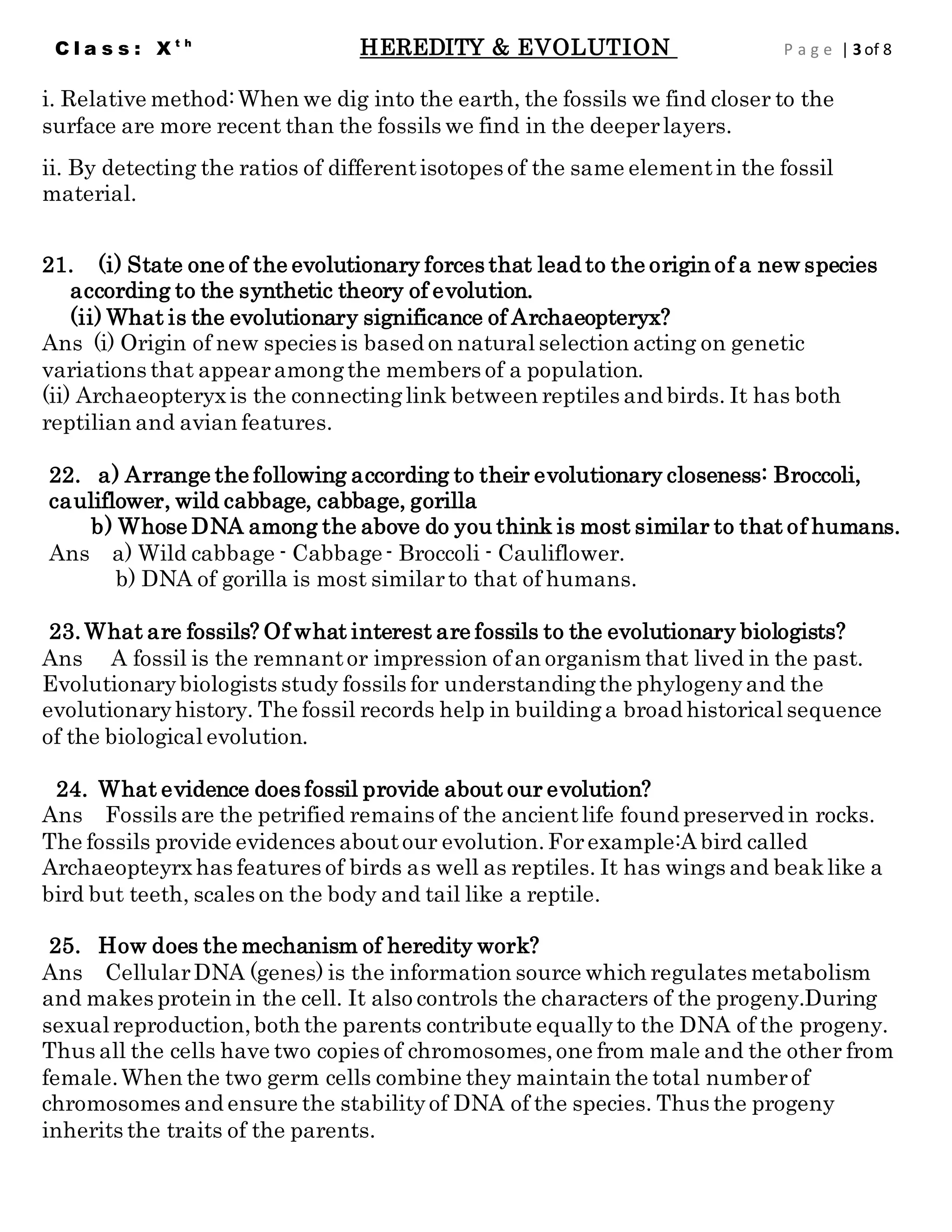 Heredity and evolution class 10th Questions | DOCX