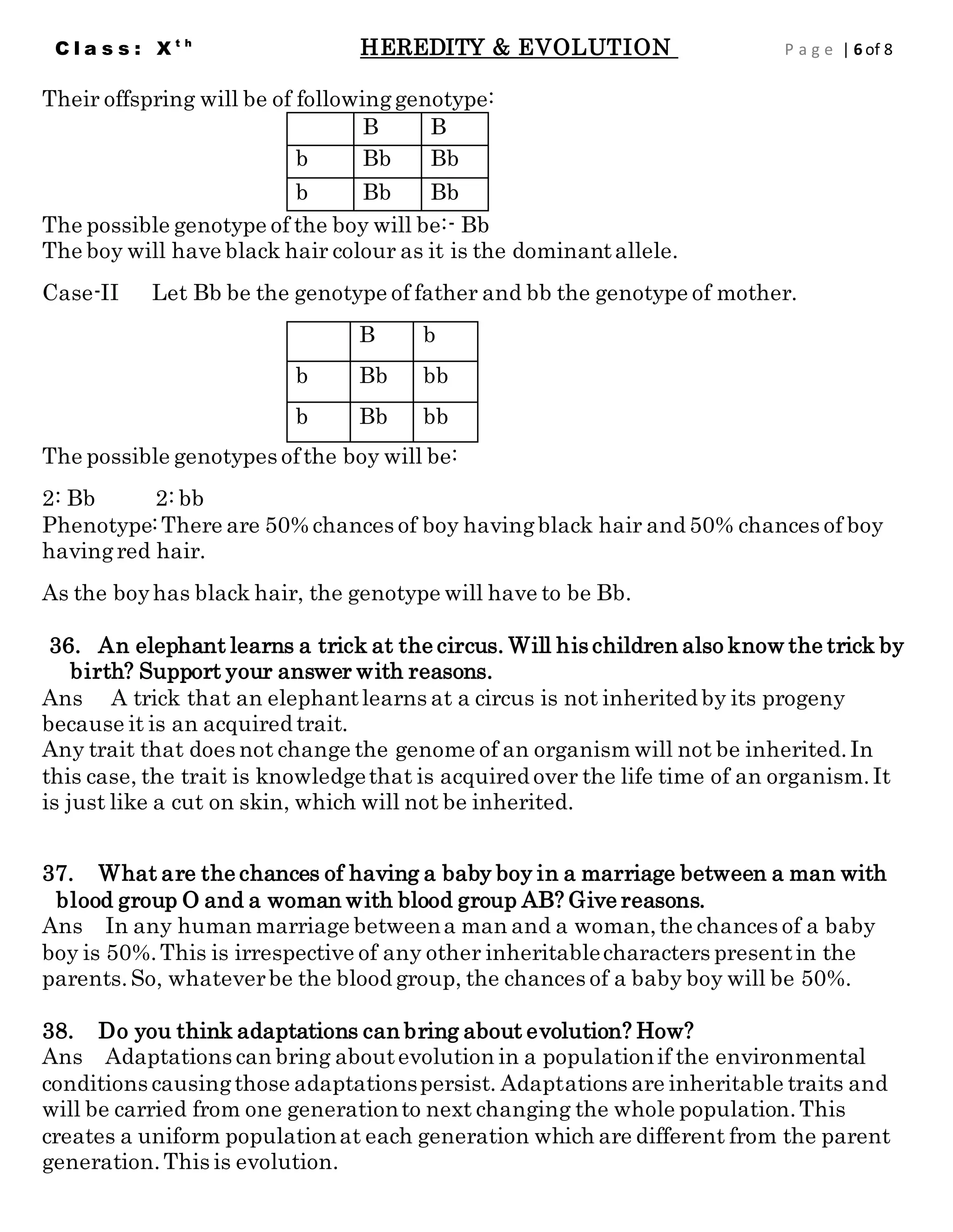 Heredity and evolution class 10th Questions | DOCX