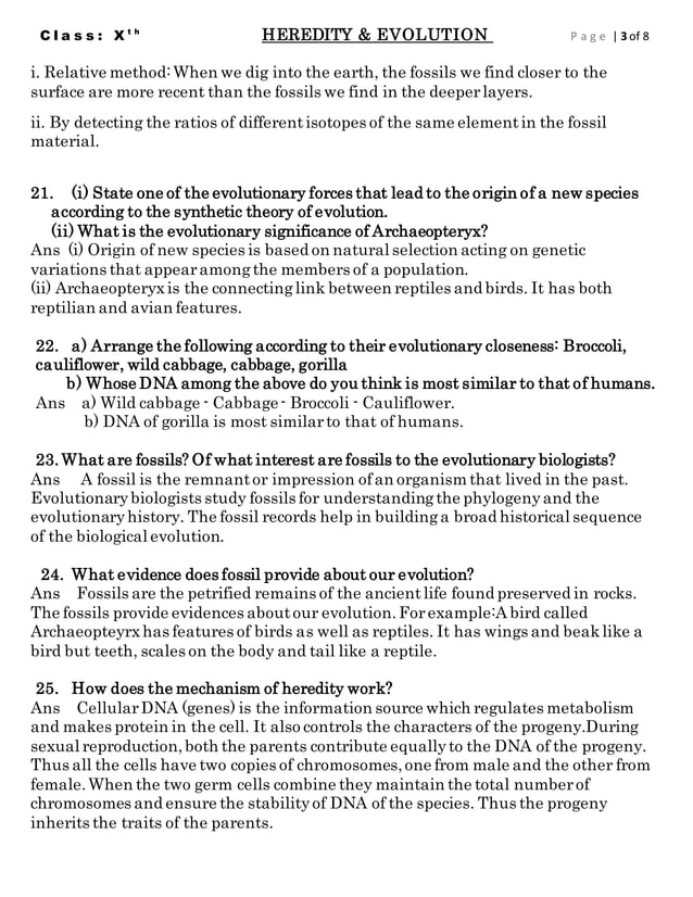 Heredity and evolution class 10th Questions | DOCX | Reproductive ...