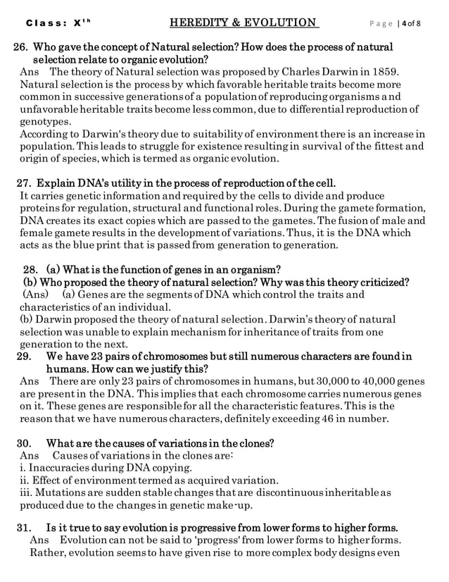 Heredity and evolution class 10th Questions | DOCX | Reproductive ...
