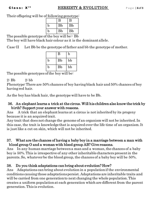 Heredity and evolution class 10th Questions | DOCX | Reproductive ...