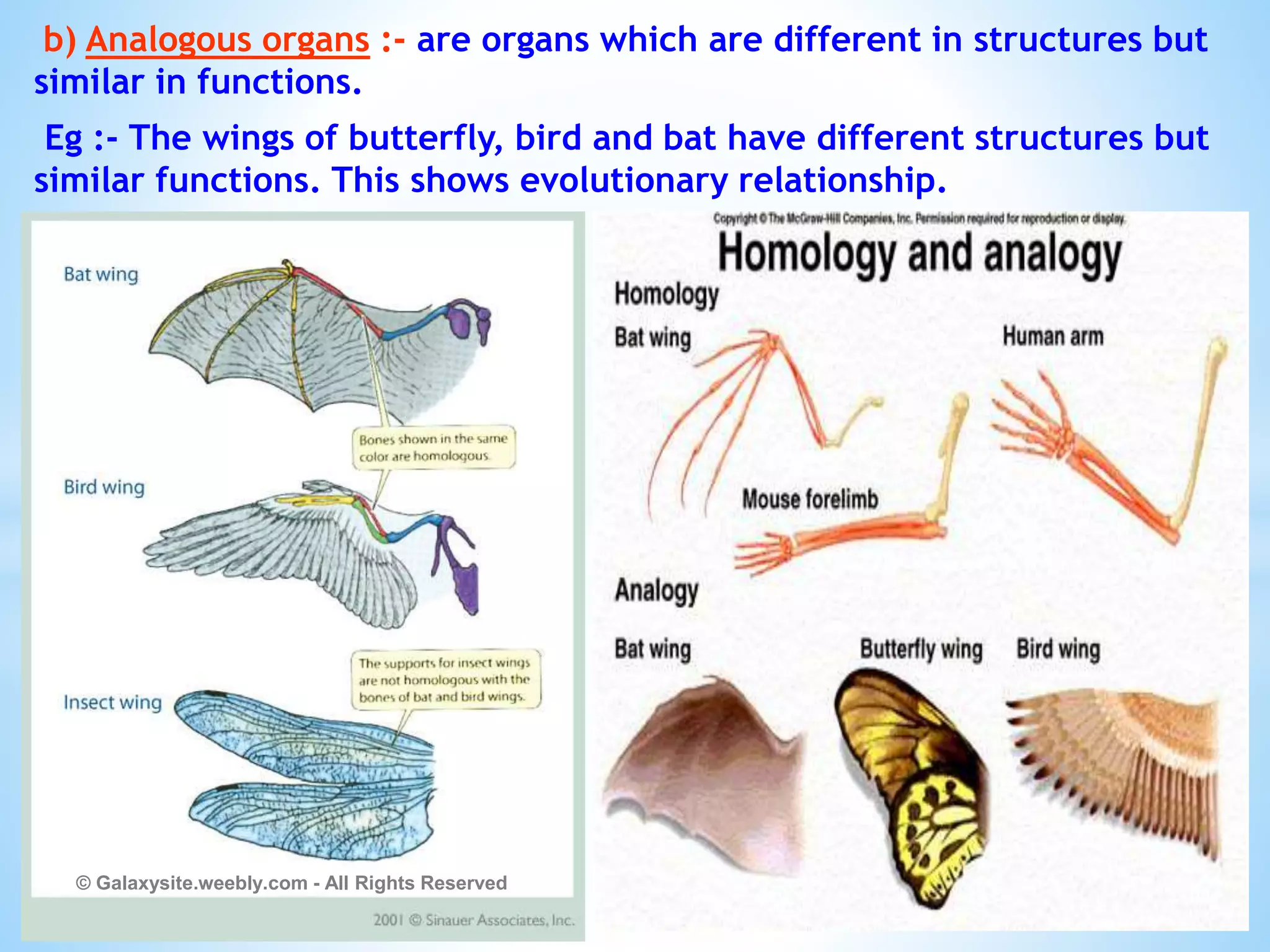 Heredity and evolution | PPSX