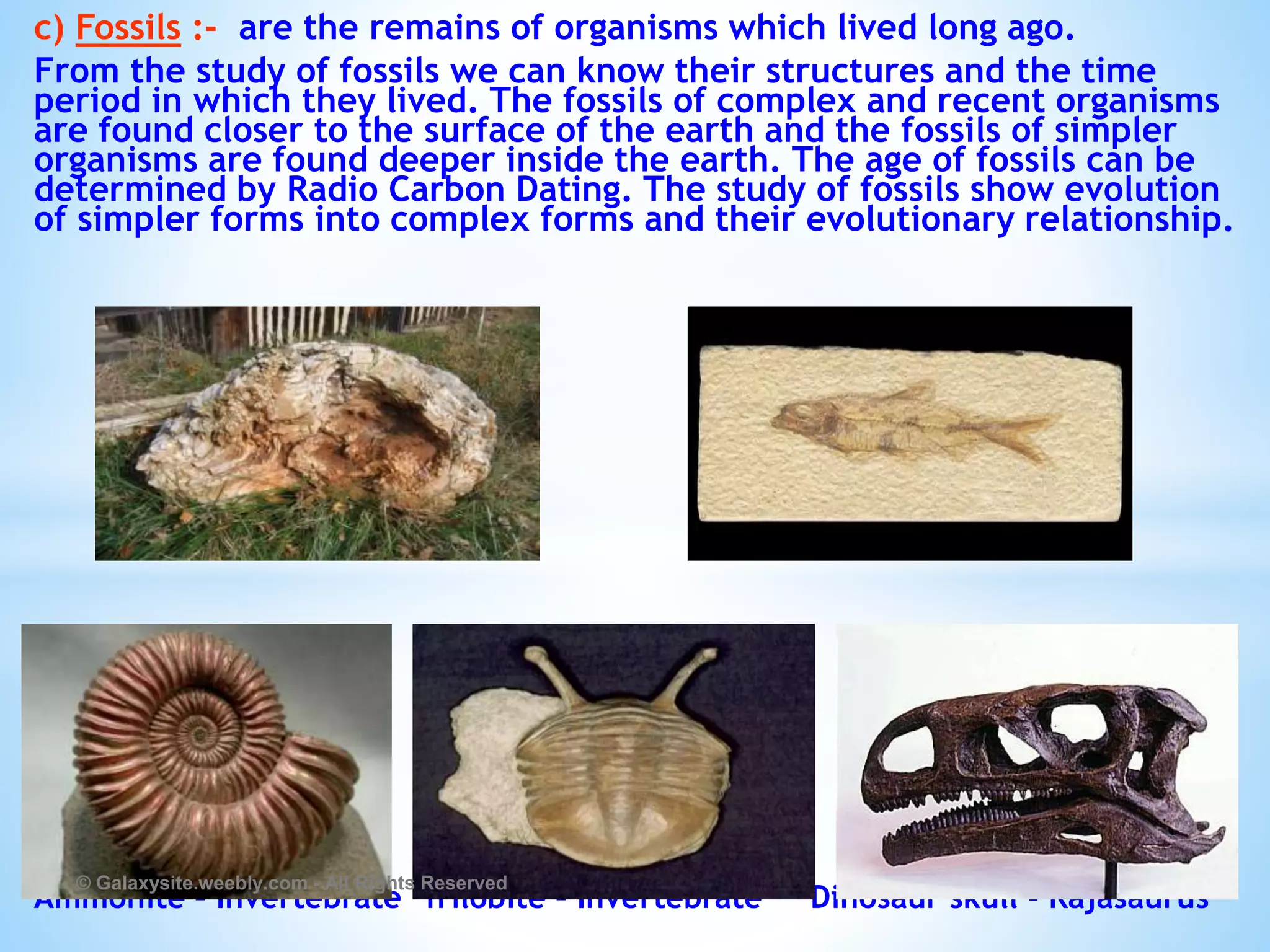 Heredity and evolution | PPSX