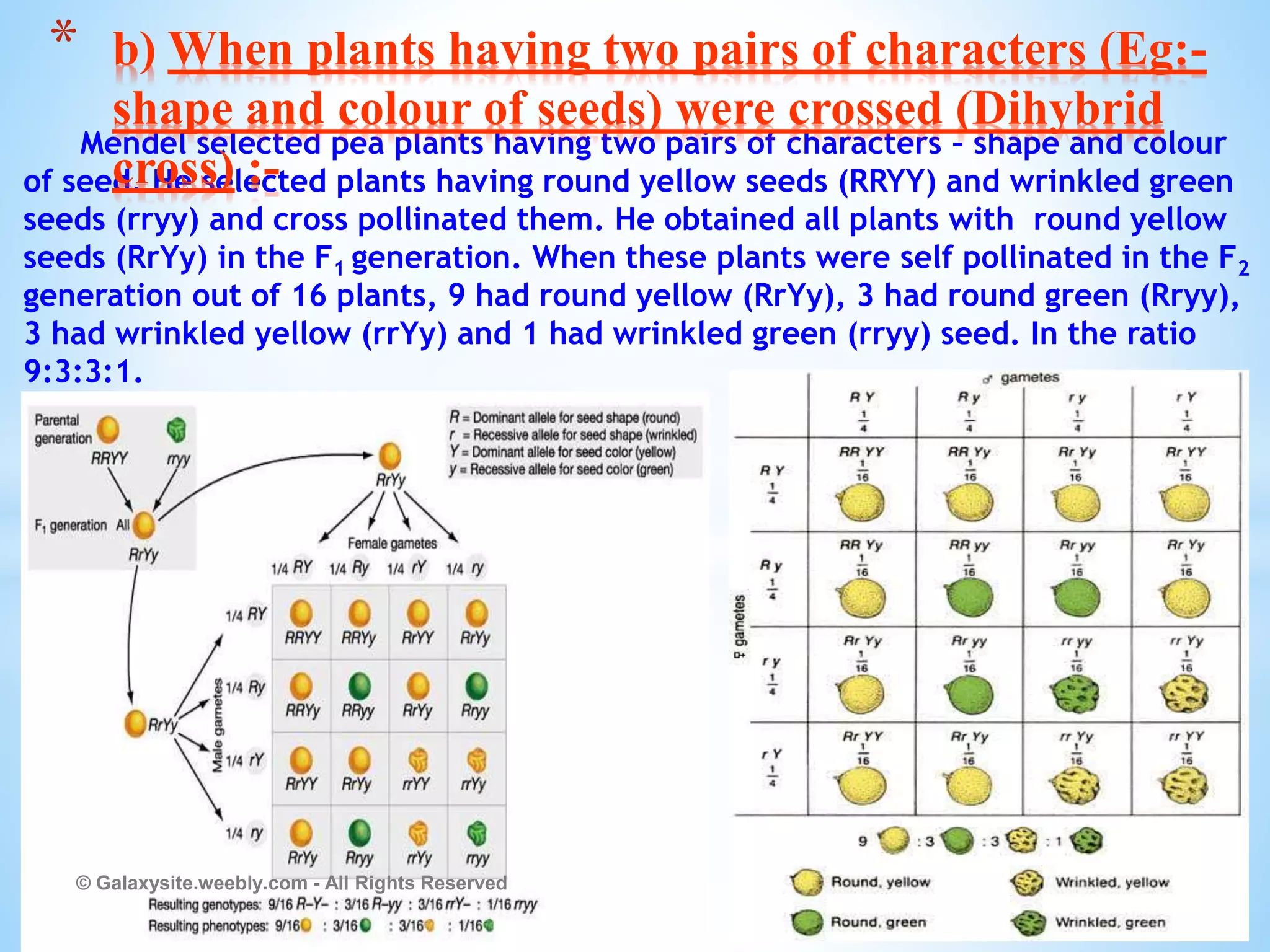 Heredity and evolution | PPSX
