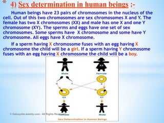 Heredity and evolution | PPSX
