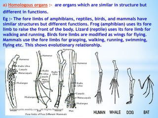Heredity and evolution | PPSX