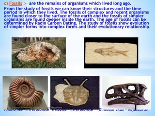 Heredity and evolution | PPSX