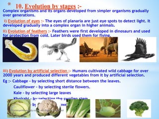 Heredity and evolution | PPSX