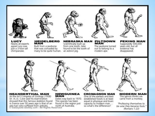 Heredity and evolution | PPSX