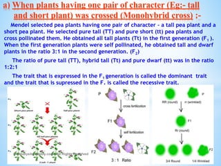 Heredity and evolution | PPSX