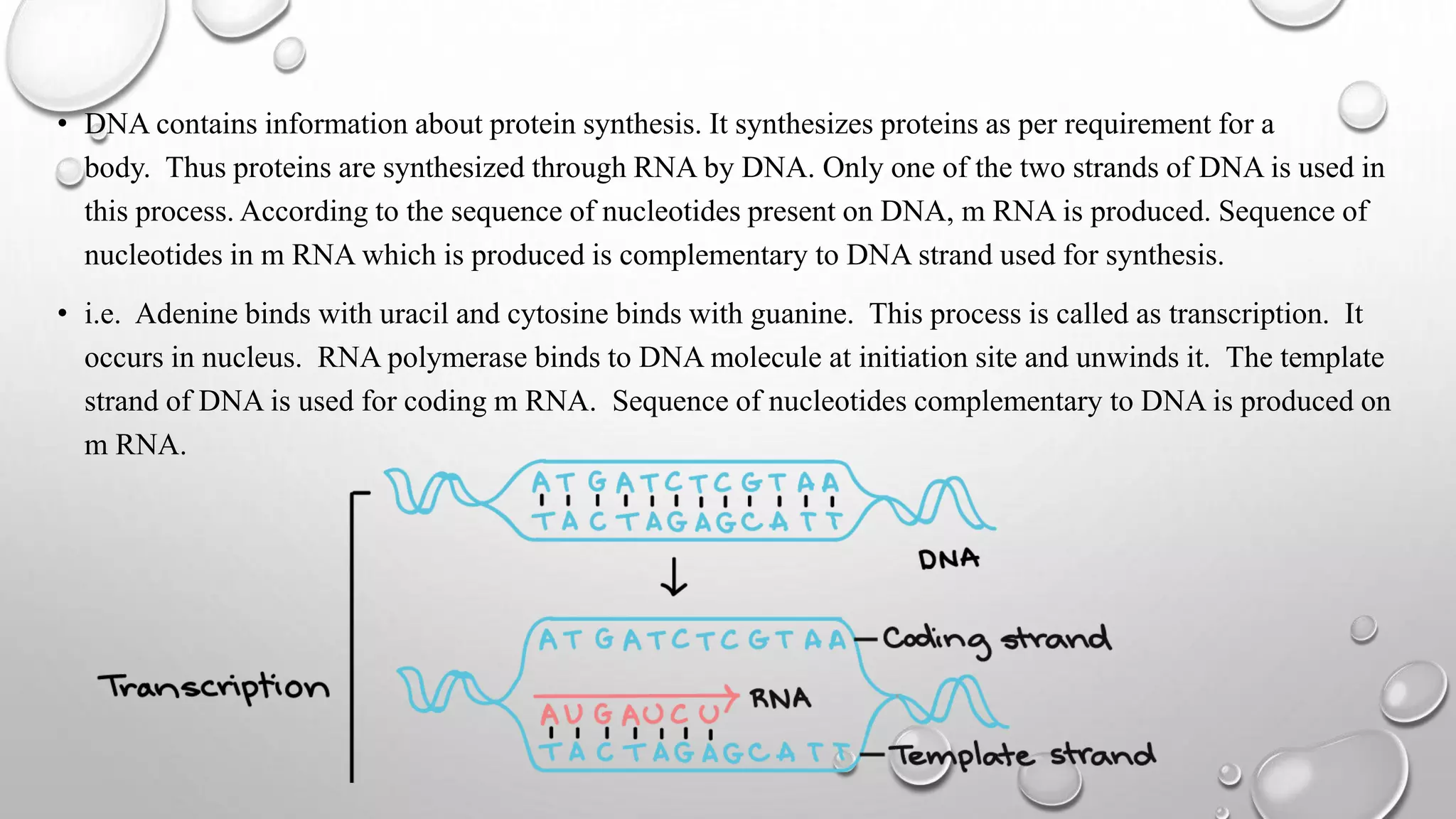 Heredity and evolution | PPTX