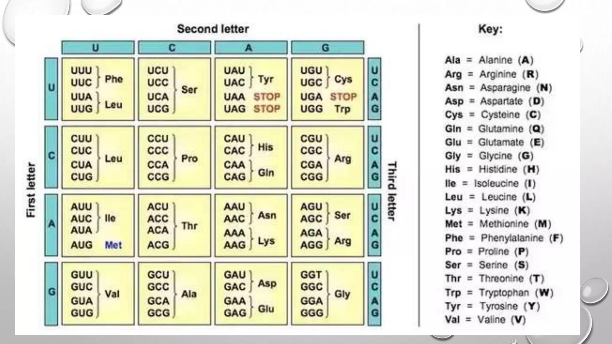 Heredity And Evolution Pptx