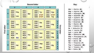 Heredity and evolution | PPTX