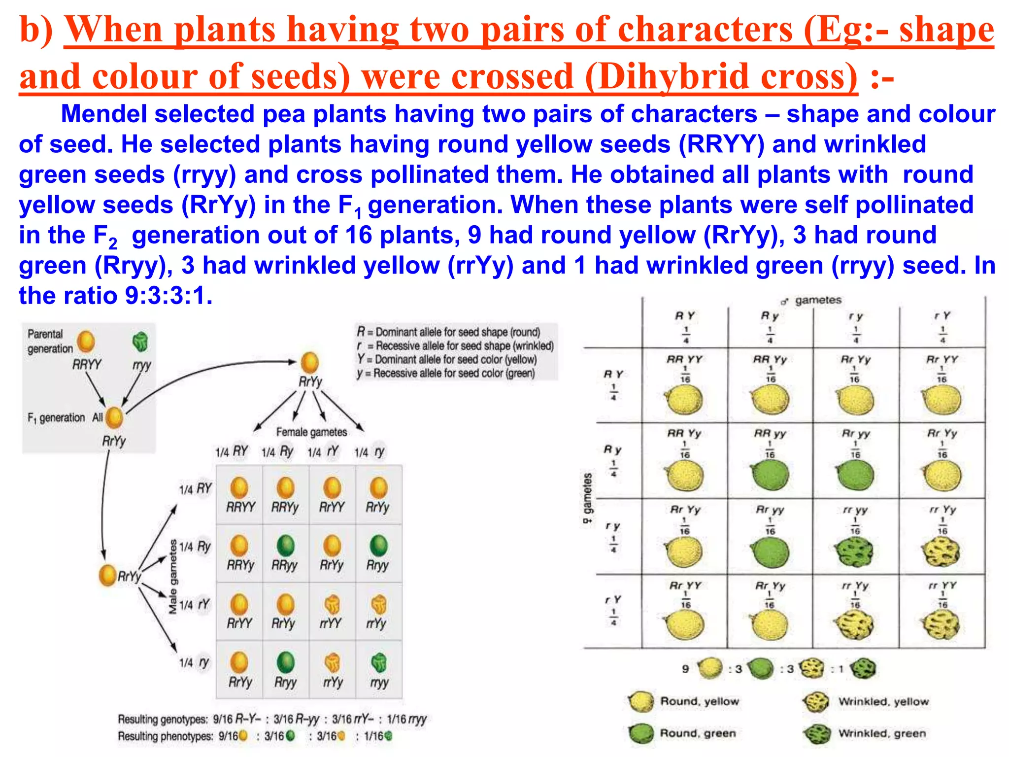 Heredity and evolution class 10th cbse | PPTX
