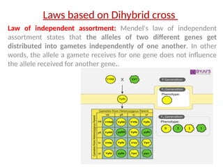 heredity 10th for students of class)-1.pptx
