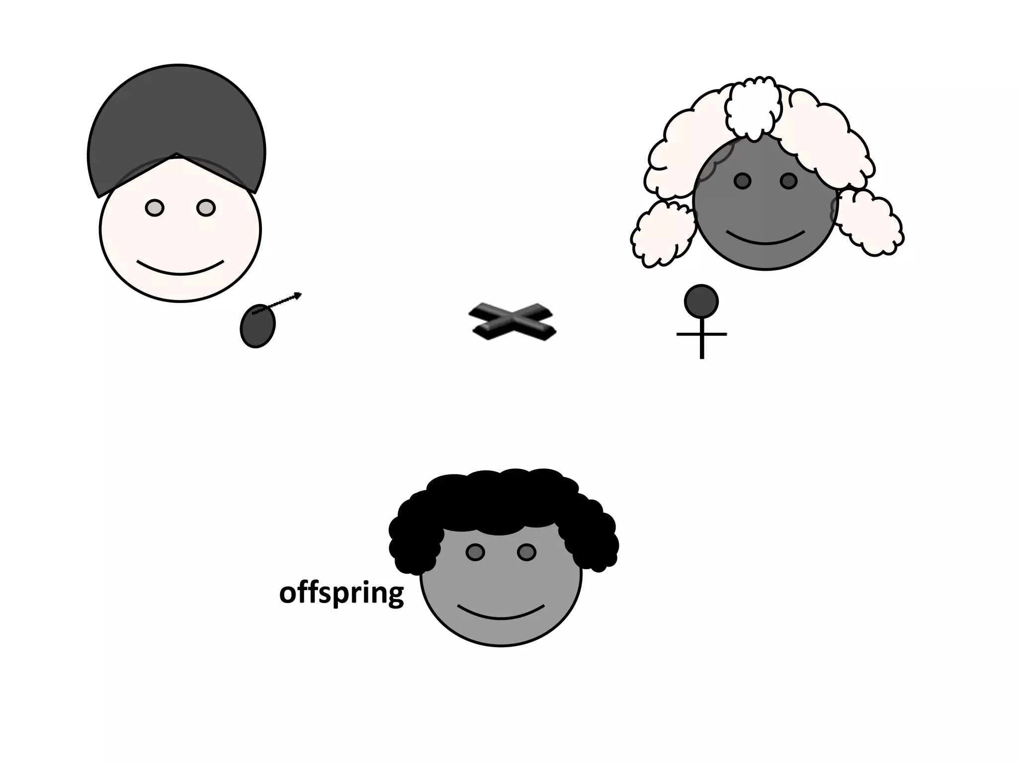 Heredity and variations | PPTX