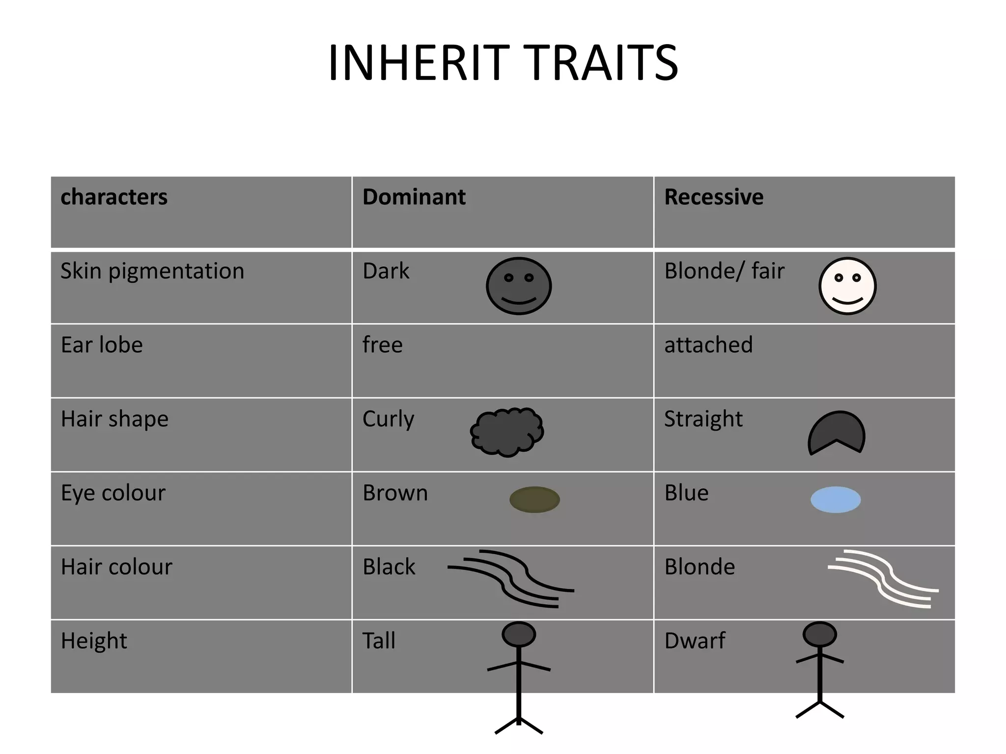 Heredity and variations | PPTX