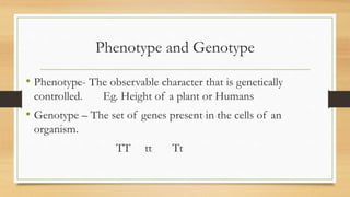 Heredity and evolution | PPTX