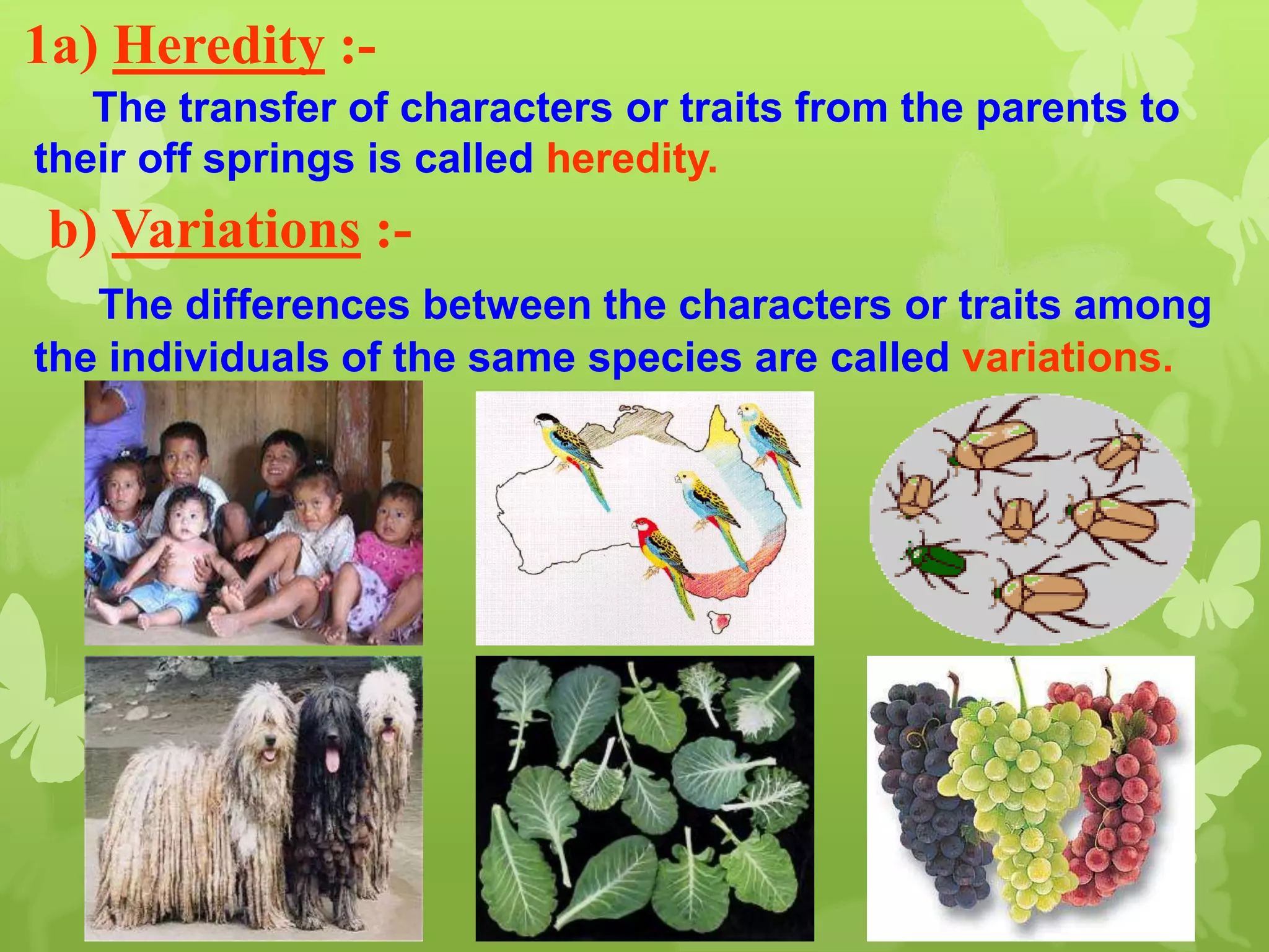 HEREDITY AND EVOLUTION.pptx