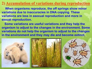 HEREDITY AND EVOLUTION.pptx