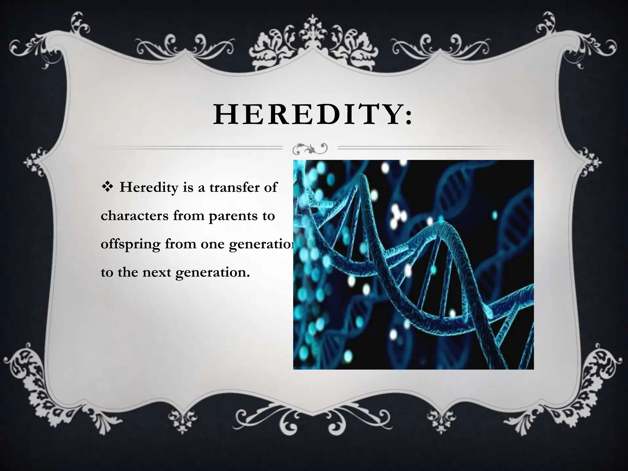 Heredity and evolution of biology topic b | PPTX