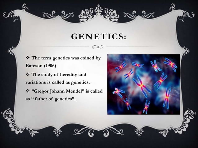 Heredity and evolution of biology topic b | PPT