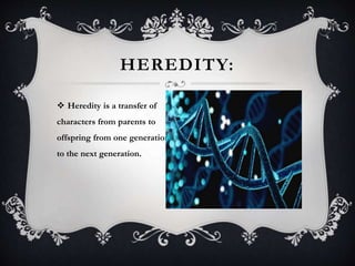 Heredity and evolution of biology topic b | PPT