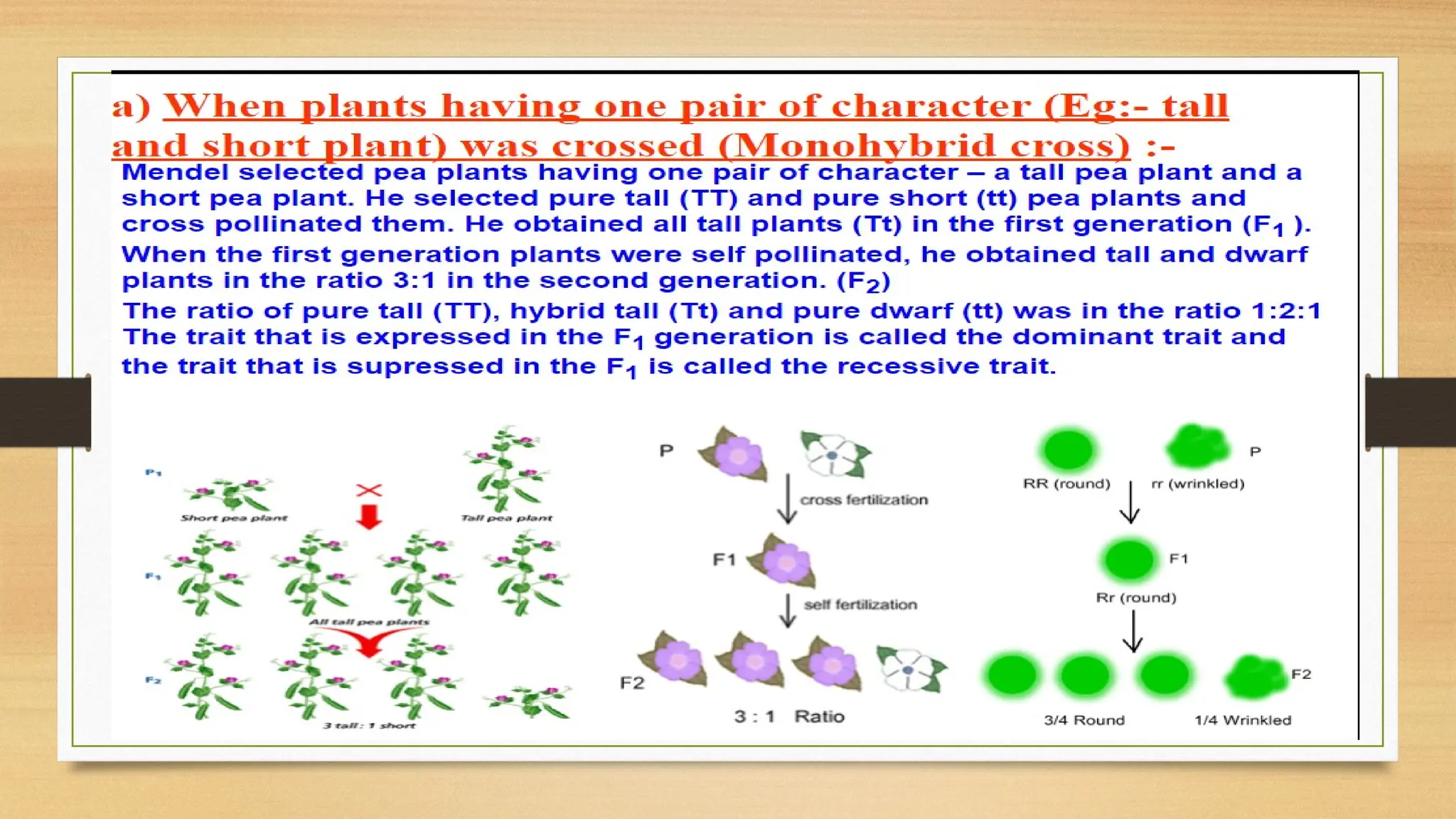 CLASS 10 SCIENCE CHAPTER 9- HEREDITY AND EVOLUTION | PPTX