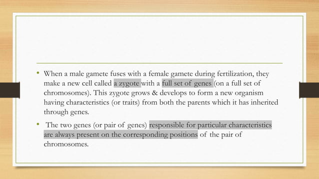 CLASS 10 SCIENCE CHAPTER 9- HEREDITY AND EVOLUTION | PPTX