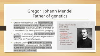 CLASS 10 SCIENCE CHAPTER 9- HEREDITY AND EVOLUTION | PPTX