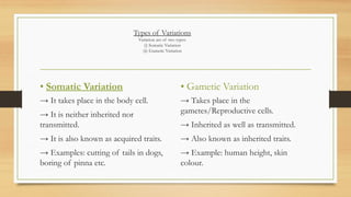 CLASS 10 SCIENCE CHAPTER 9- HEREDITY AND EVOLUTION | PPTX