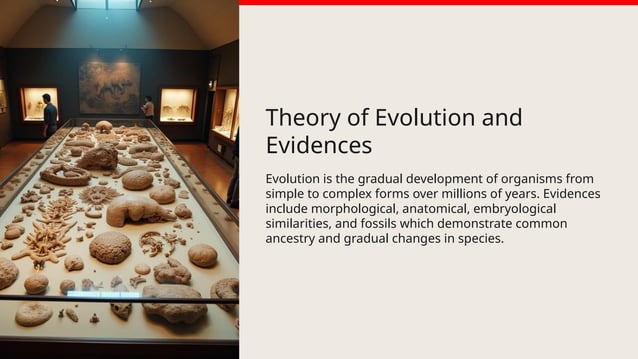 Heredity and Evolution for class 10.pptx