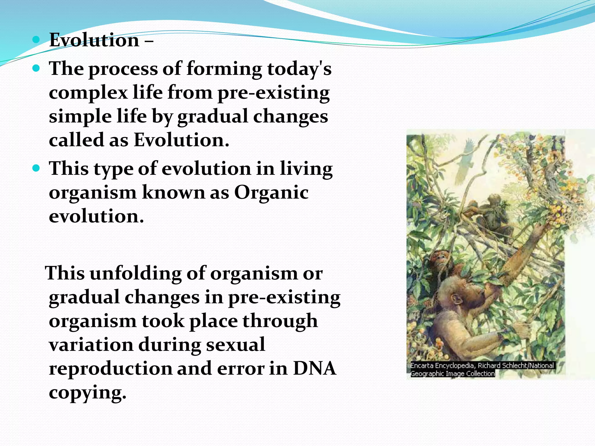 Heredity and Evolution | PPTX