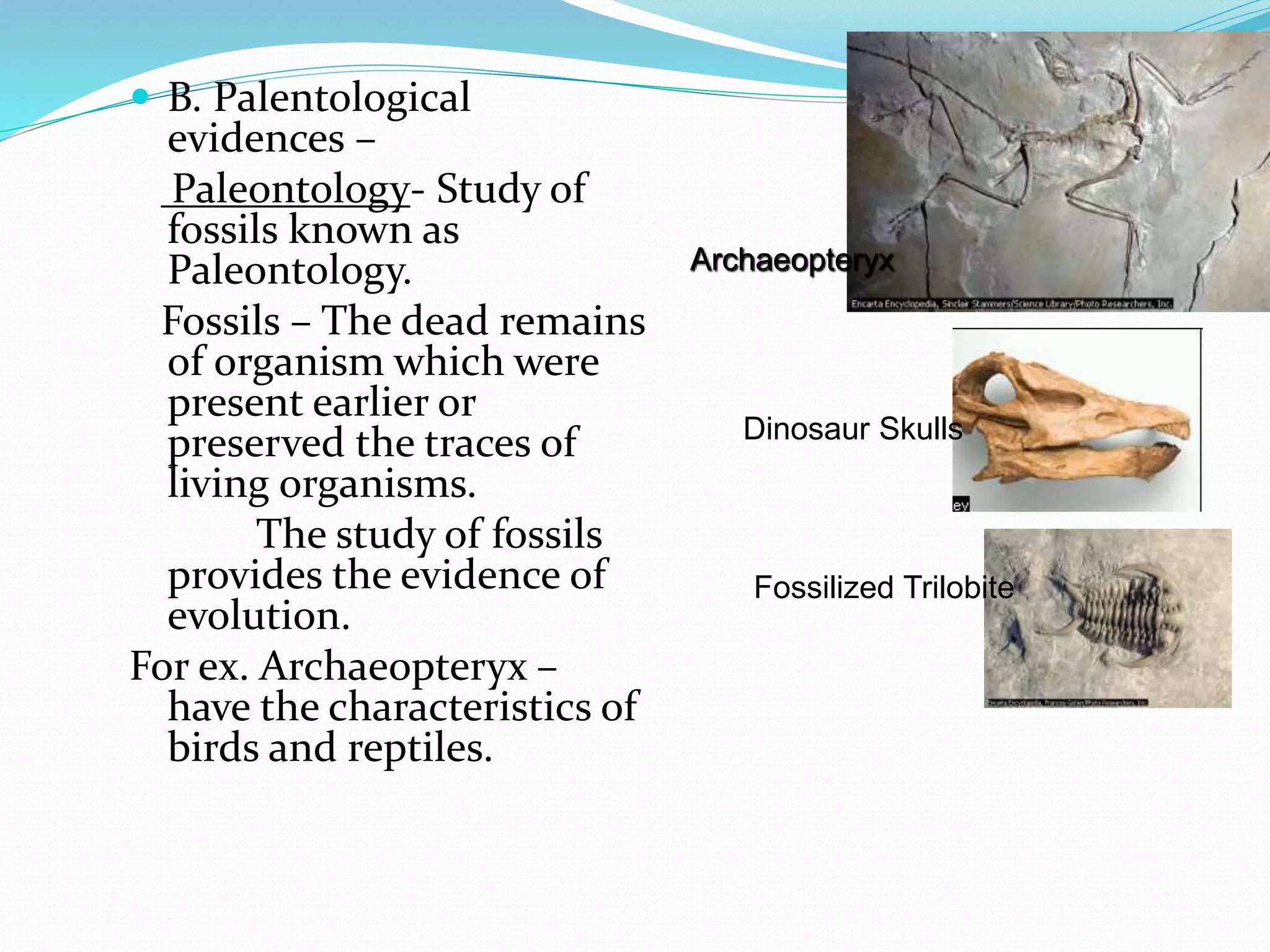 Heredity and Evolution | PPTX