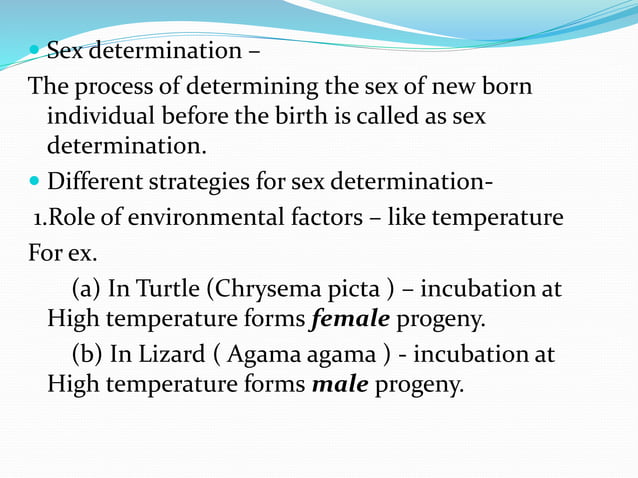 Heredity and Evolution | PPTX