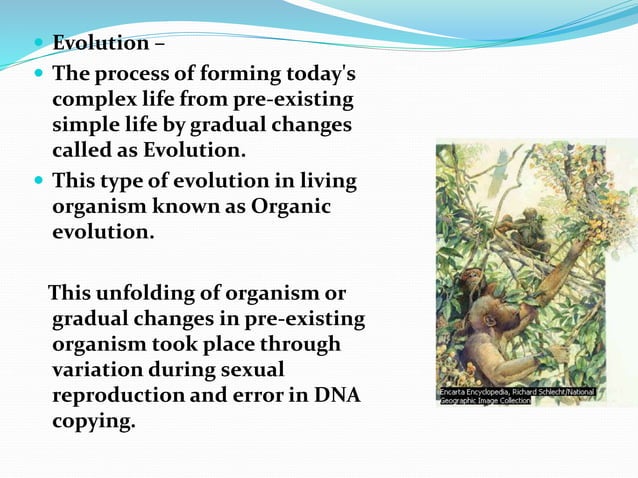 Heredity and Evolution | PPTX