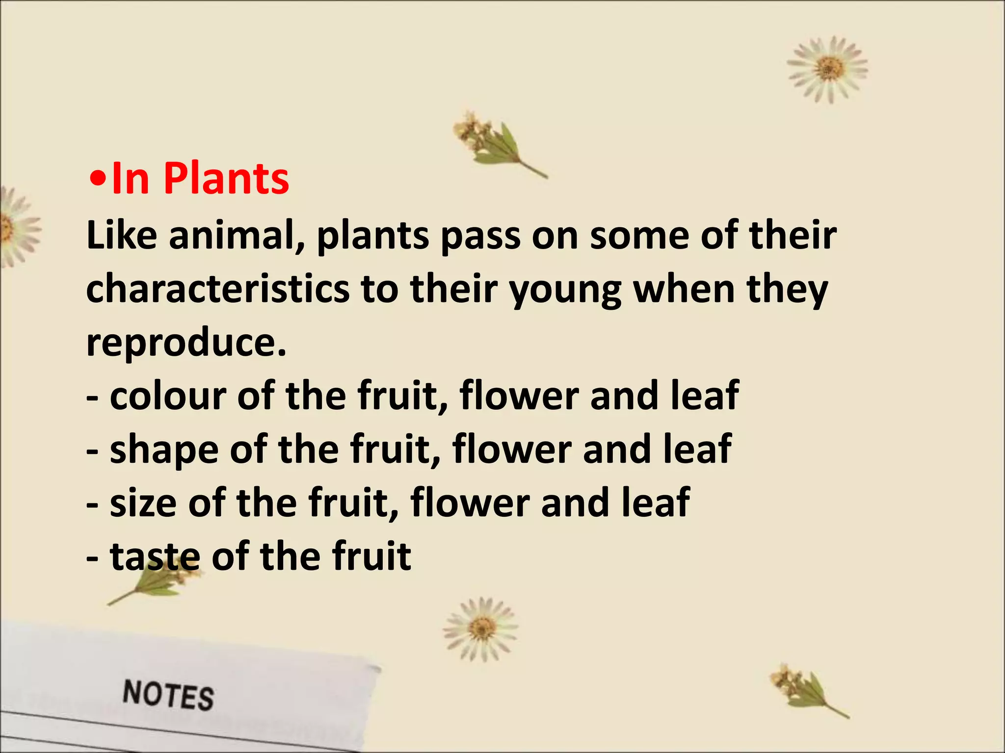Heredity and Genetics PowerPoint.ppt