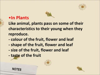 Heredity and Genetics PowerPoint.ppt