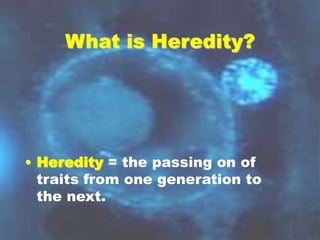 Heredity and Genetics PowerPoint.ppt