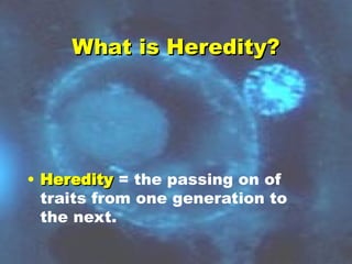 Heredity and Genetics PowerPoint Presentation | PPT