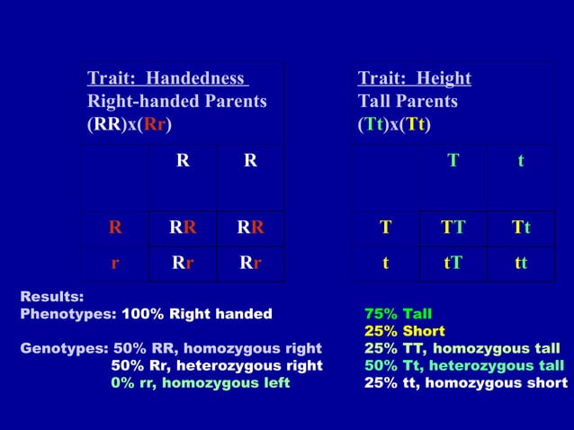 Heredity and Genetics PowerPoint Presentation | PPT